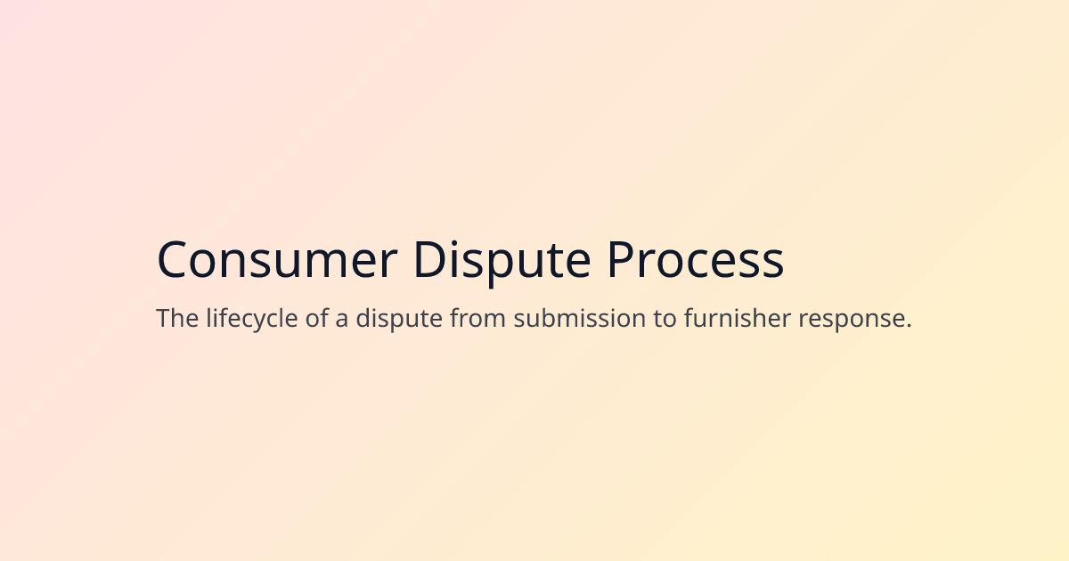 Consumer Dispute Process